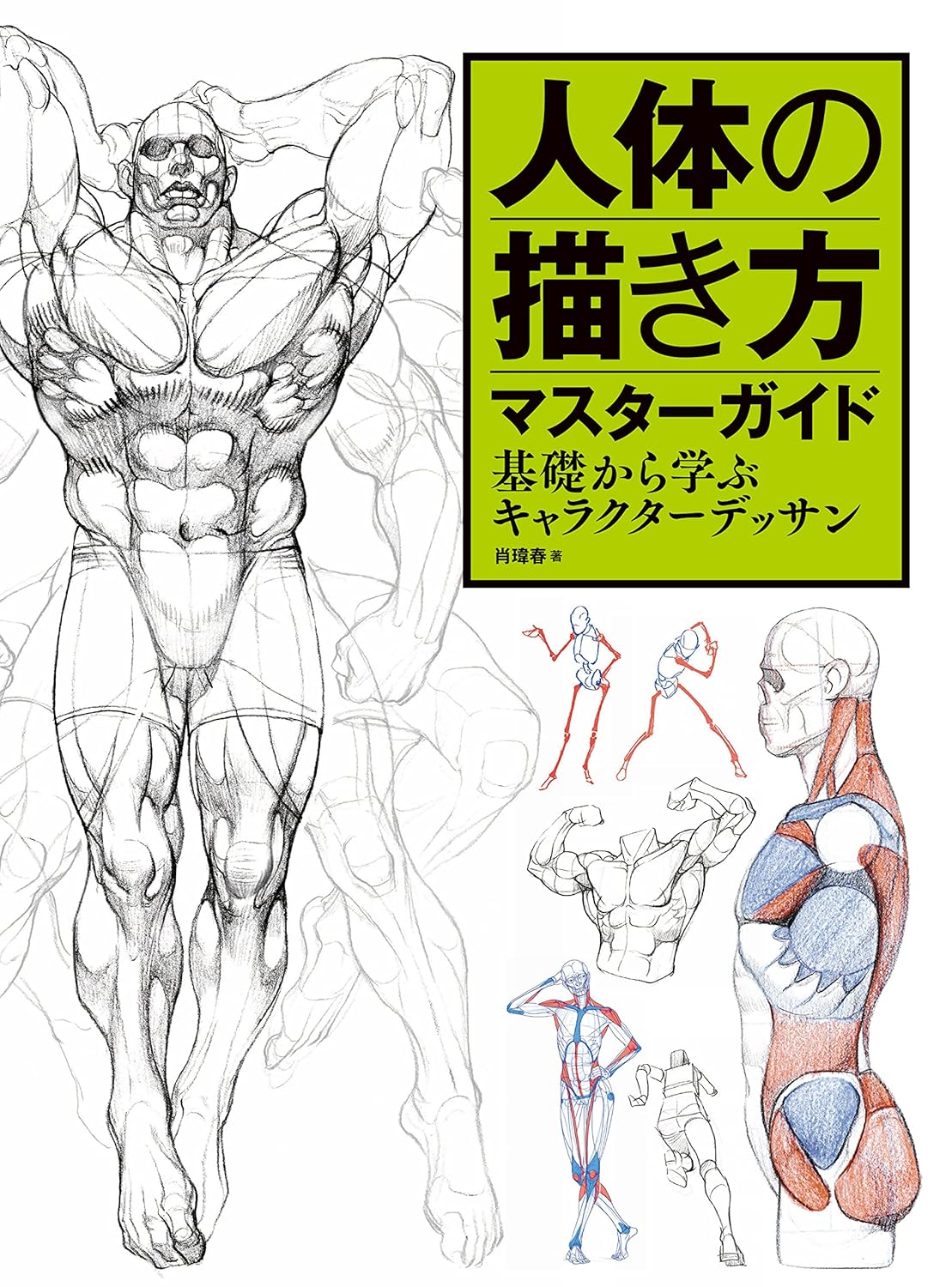 Hobby Japan Master Guide to Drawing the Human Body: Learning Character ...