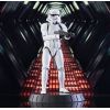 Gentle Giant 1/6 Milestones Luke Skywalker Stormtrooper Disguise Statue ...